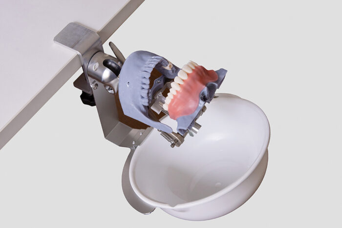 Endo Surgical Model - Angelus Japan