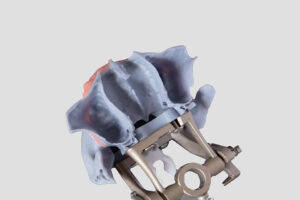 Endo Surgical Model - Angelus Japan