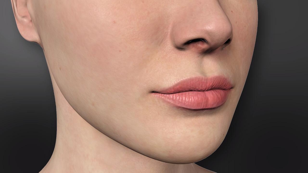 バイオ シー テンプ（Bio-C Temp） - Angelus Japan